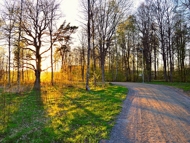 Spring in the Lehigh Valley | Autumn Park Apartments